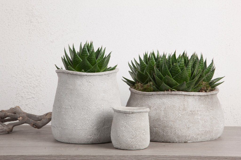 JUG Z - Garden Square